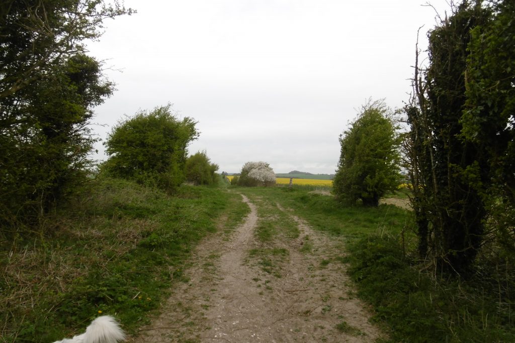 Visiting Devils End & The Devils Hump – Aldbourne Heritage Centre